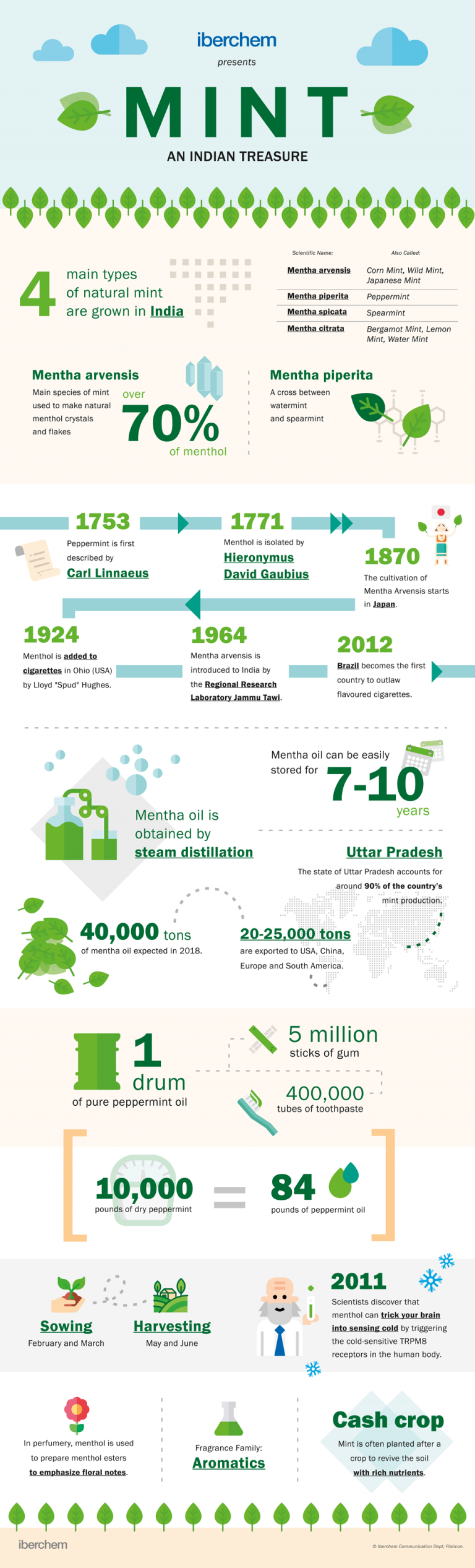 Mint: treasure from India. Infographic - Iberchem